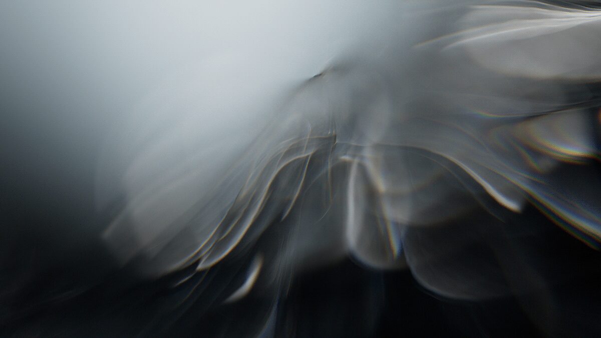 DISTORTED BEAUTY - Exploration sonore